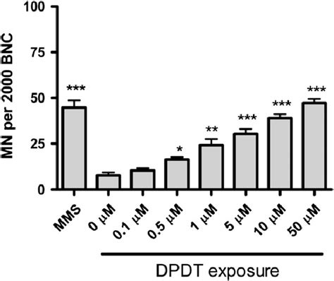 Micronuclei Induction In V79 Cells By 2 H Dpdt Treatment The