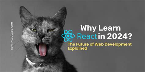 Why Learn React In 2024 The Future Of Web Development Explained