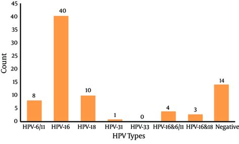 Hpv Infection Chain
