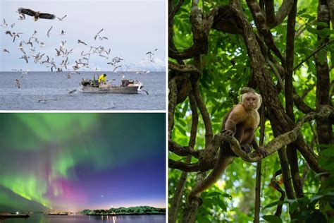 Захватывающие фотографии из путешествий Джефа Паттина Dymontiger — Livejournal