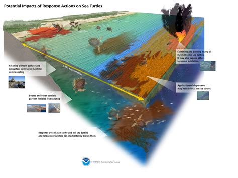 What Causes An Anthropogenic Oil Spill Srkhwn