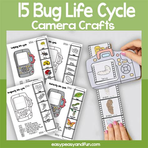 15 Bug Life Cycles Camera Snapshots Craft Easy Peasy And Fun Membership
