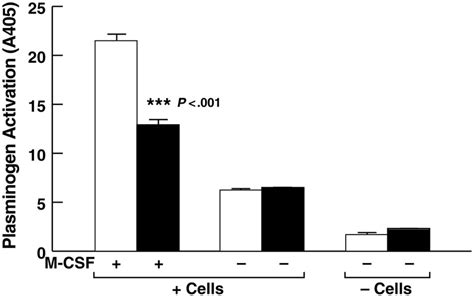 Plg Rkt Regulates Cell Surface Plasminogen Activation Plasminogen Download Scientific Diagram