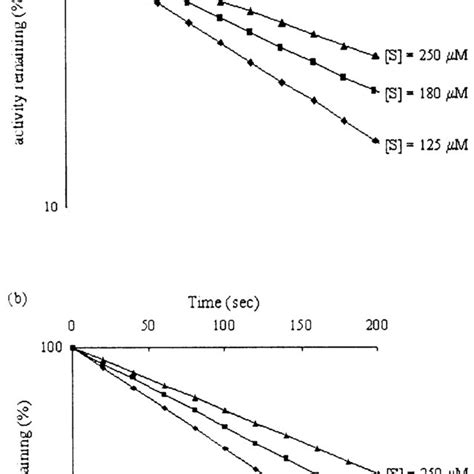 Kitz Wilson Plots For Determinations Of K M And K A Values For A