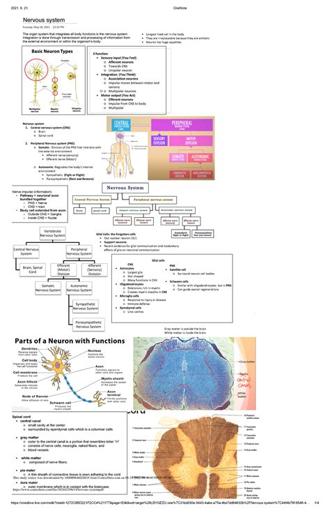 Laboratory Exercise Studocu