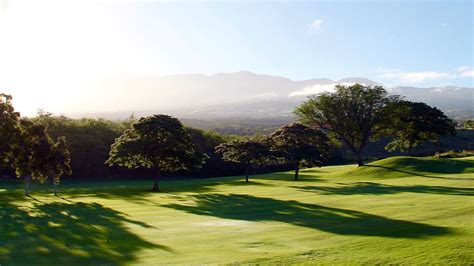 Cuidado Del Césped A La Hora De Abonar Agralia Jardín