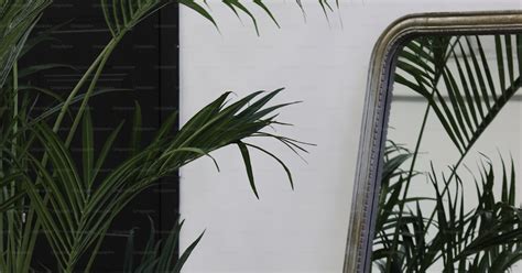 거울 앞에 앉아 있는 노란 의자 사진 Unsplash의 오래 된 의자 이미지