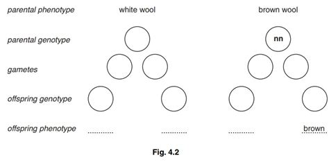 IGCSE Biology Selection IGCSE Style Questions Paper