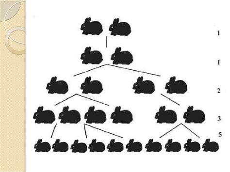 Числа Фибоначчи презентация доклад проект скачать