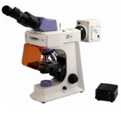 Led Fluorescence Microscope At ₹ 250000 Confocal Fluorescence Microscopy In Ambala Id