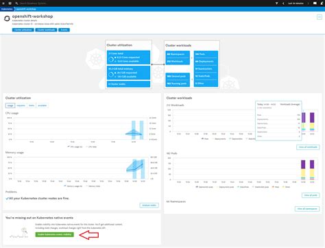 Lab Openshift W Dynatrace OpenShift Observability