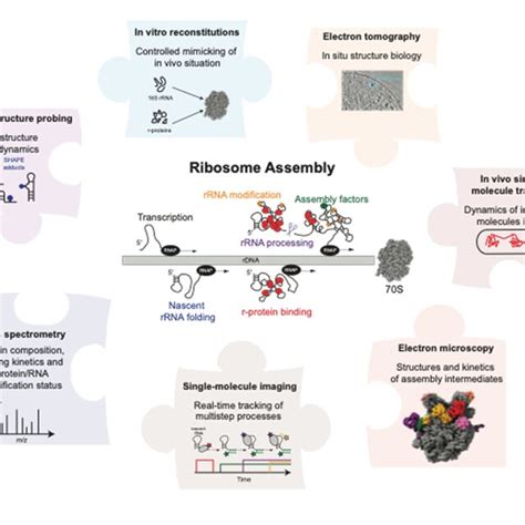 Overview Of The Biochemical Structural And Biophysical Methods For Download Scientific