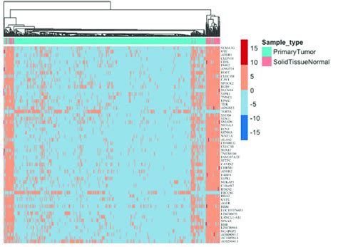 A Heatmap Representing The Expression Level Of All Genes Obtained By At