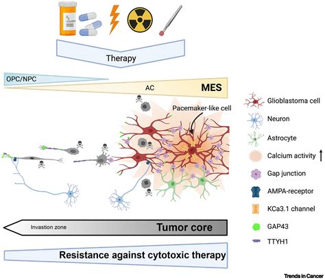 Glioblastoma Revisited From Neuronal Like Invasion To Pacemaking Trends In Cancer