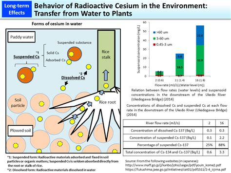 How Dangerous Is Cesium In Water At Roberto Janie Blog
