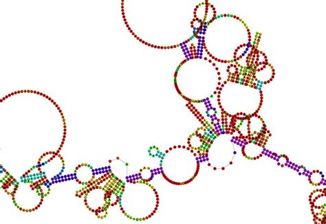 When Will Rna Structure Prediction Get Its Alphafold Breakthrough
