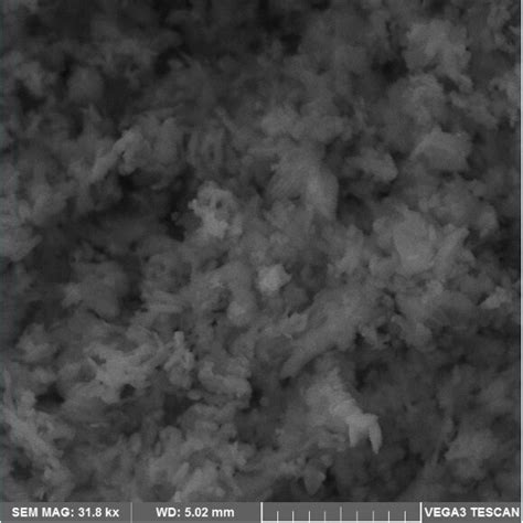 Scanning Electron Microscope Image Of Copper Oxide Nanoparticles