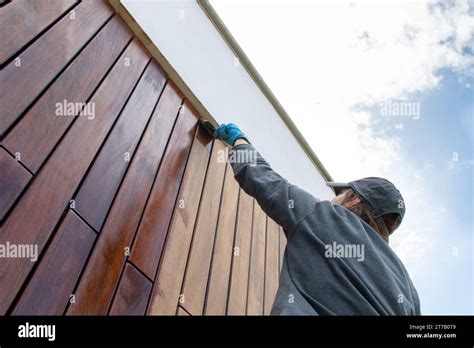 Staining The Wood Facade Cladding With Paint Brush And Protective Oil Stain House Improvement Staining The Wood Facade Cladding With Paint Brush And Protective Oil Stain House Improvement