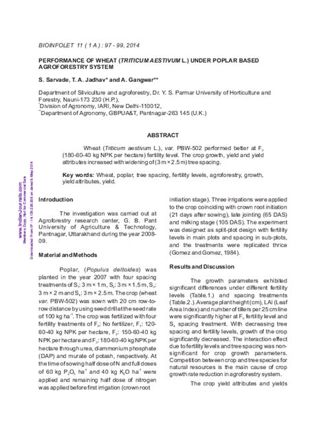 Pdf Performance Of Wheat Triticum Aestivum L Under Poplar Based