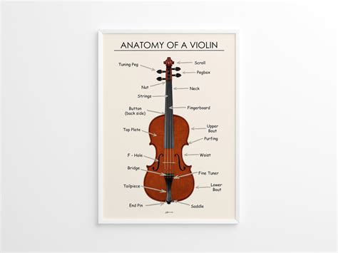 Violin Anatomy Poster Violin Diagram Printable Violin Parts Names Music Teacher Resource