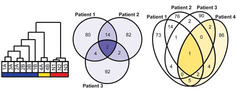 Comparison Of Samples A Hierarchical Clustering Of Six Hgsc Blue