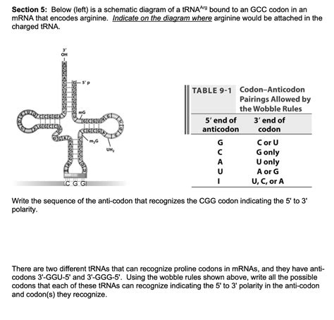 Solved Section 5 Below Left Is A Schematic Diagram Of A
