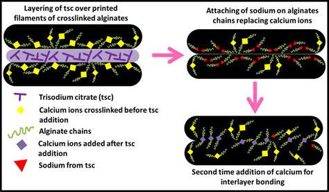 the effect of the addition of tsc in between two layers of crosslinked