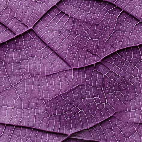 Trozo De Hojas Moradas