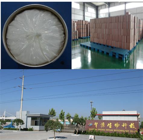 Sulfobutyl Ether β Cyclodextrin Usp 표준 의 고품질 Sulfobutyl Ether β Cyclodextrin Usp 표준