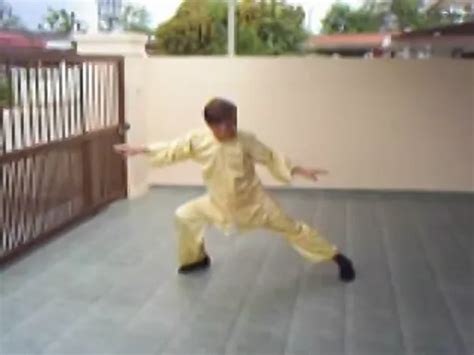 Shaolin Kung Fu Dragon Style