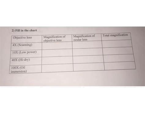 Calculating Total Magnification — Printable Worksheet