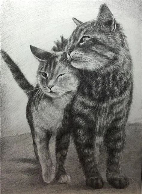 Realistic Pencil Drawing Of Two Cats