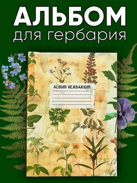 Альбом для гербария и коллекционирования трав, цветов и растений с ...