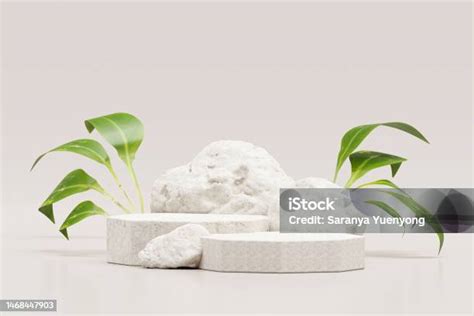 식물 자연 받침대 무대 제품 디스플레이 배경이 있는 바위 또는 돌 연단 제품 배치를 위한 3d 그림 빈 디스플레이 쇼룸 프레젠테이션 0명에 대한 스톡 사진 및 기타 이미지