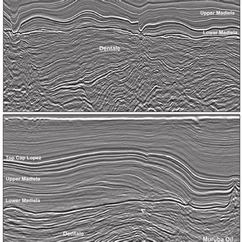 Pstm Sections Showing The Pre And Post Salt Targets Download