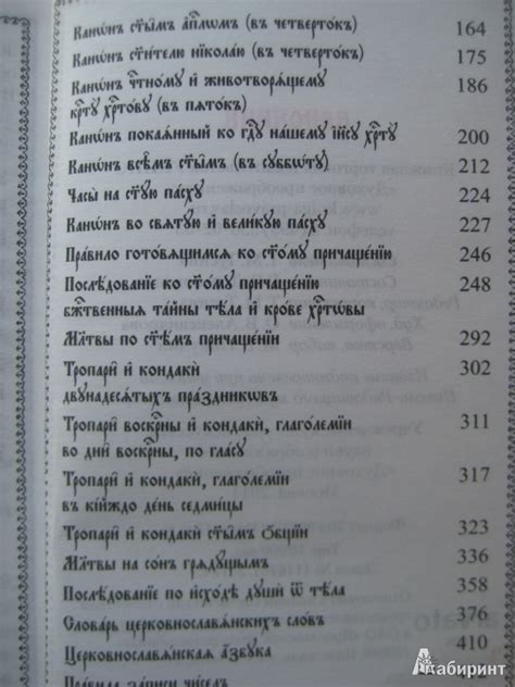 Книга: Канонник - . Купить книгу, читать рецензии | Лабиринт