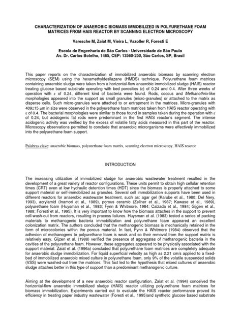 Characterization Of Anaerobic Biomass Immobilized In Polyurethane Foam