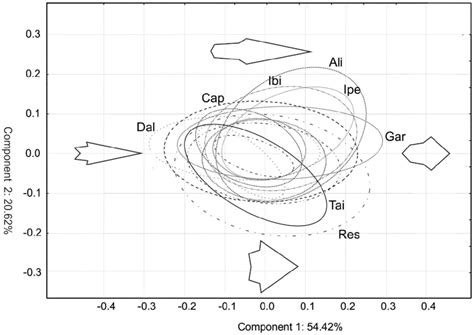 Principal Component Analysis Applied To The Shape Coordinates Upper