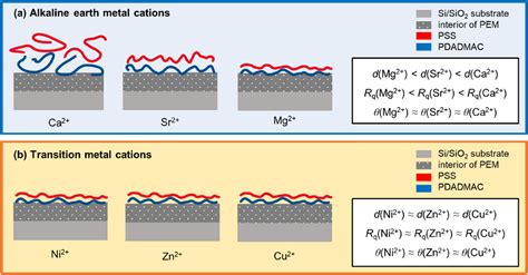 Specific Ion Effects Of Divalent Cations On The Formation And Properties Of Polyelectrolyte