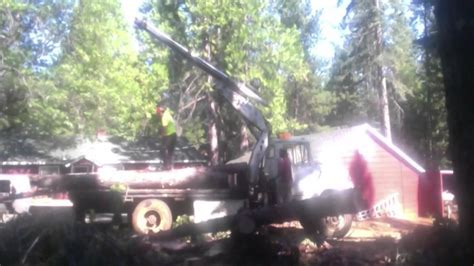 Sexy Loggers Youtube