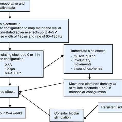 1 initial deep brain stimulation programming algorithm for dystonia