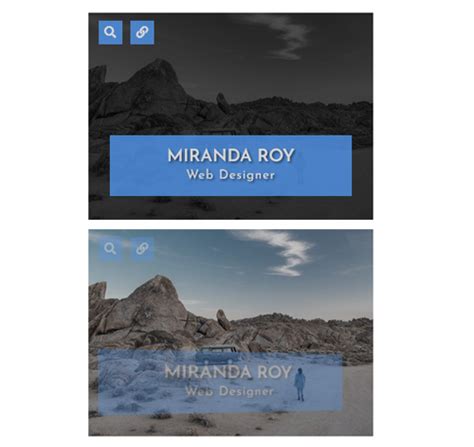 395 CSS Image Hover Effects With Text Animation Example