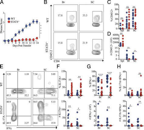 Intrinsic Stat4 Expression Controls Effector Cd4 T Cell Migration And