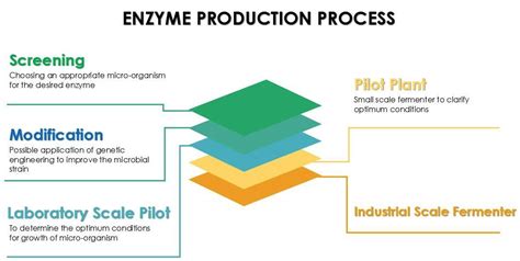 Creative Enzymes Develops And Manufactures Specialty Enzymes In Both Small… Creative Enzymes