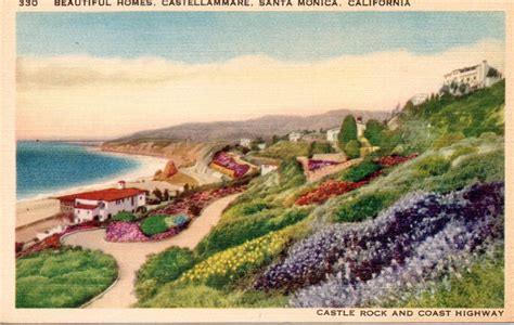 Butterfly Day A New Topanga Tradition Topanga New Times