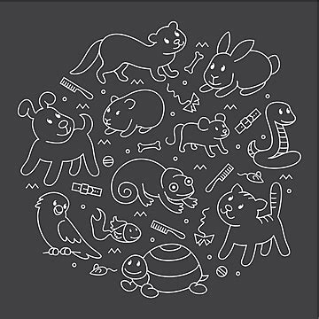 Python Logo PNG Transparent Images Free Download Vector Files Pngtree