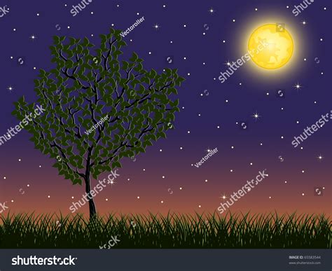 Night Background Tree Vector Illustration Stock Vector Royalty Free