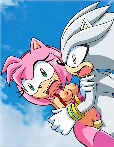 Rule 34 Amy Rose Eulipotyphlan Furry Hedgehog Male Mammal Mobius