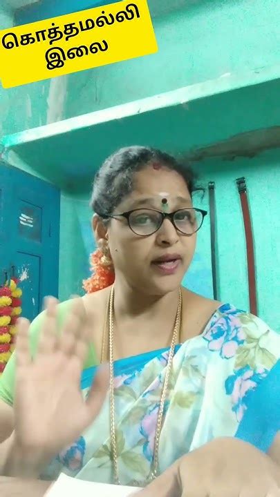 கொத்தமல்லி இலை Youtube