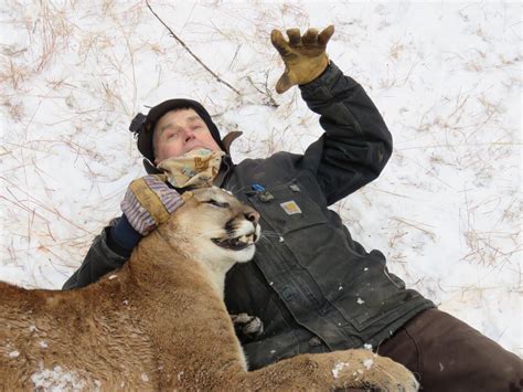 Killing Of Serial Killing Cat Explained TSLN Com Killing Of Serial Killing Cat Explained TSLN Com